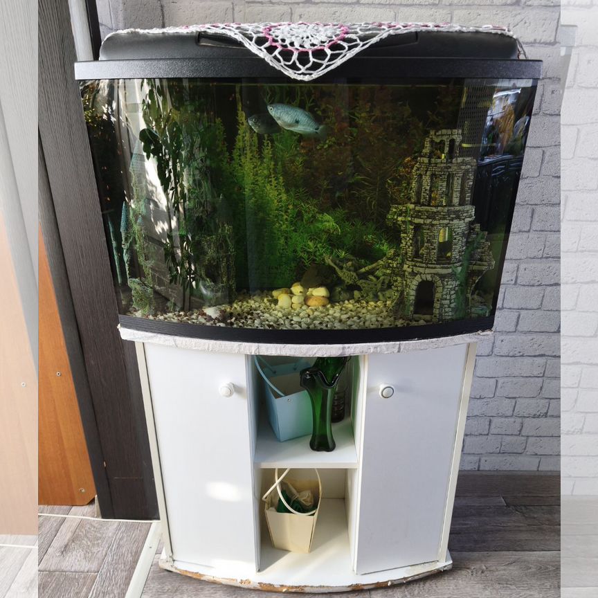Аквариум с тумбой 150л