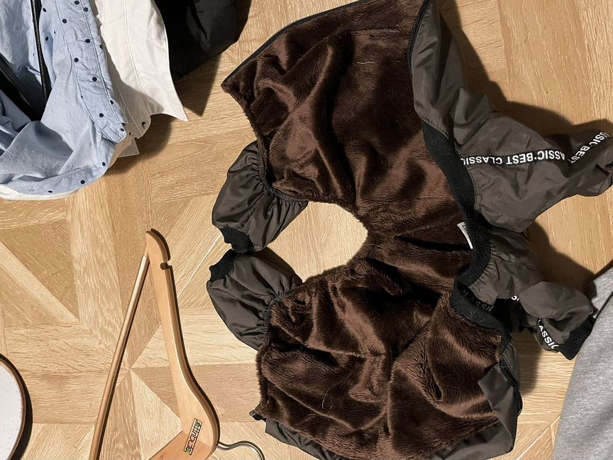 Одежда для собак мелких пород