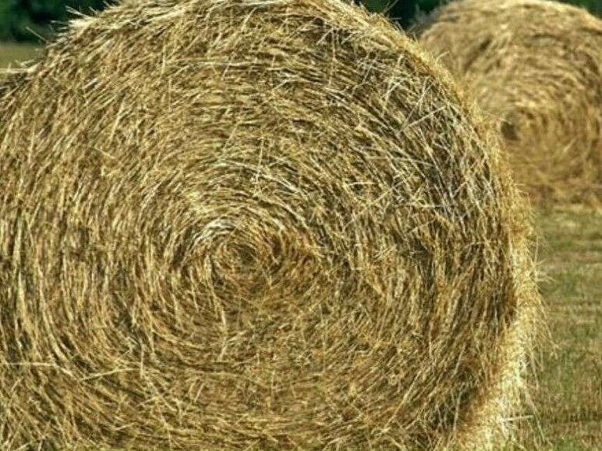 Сено солома в тюках