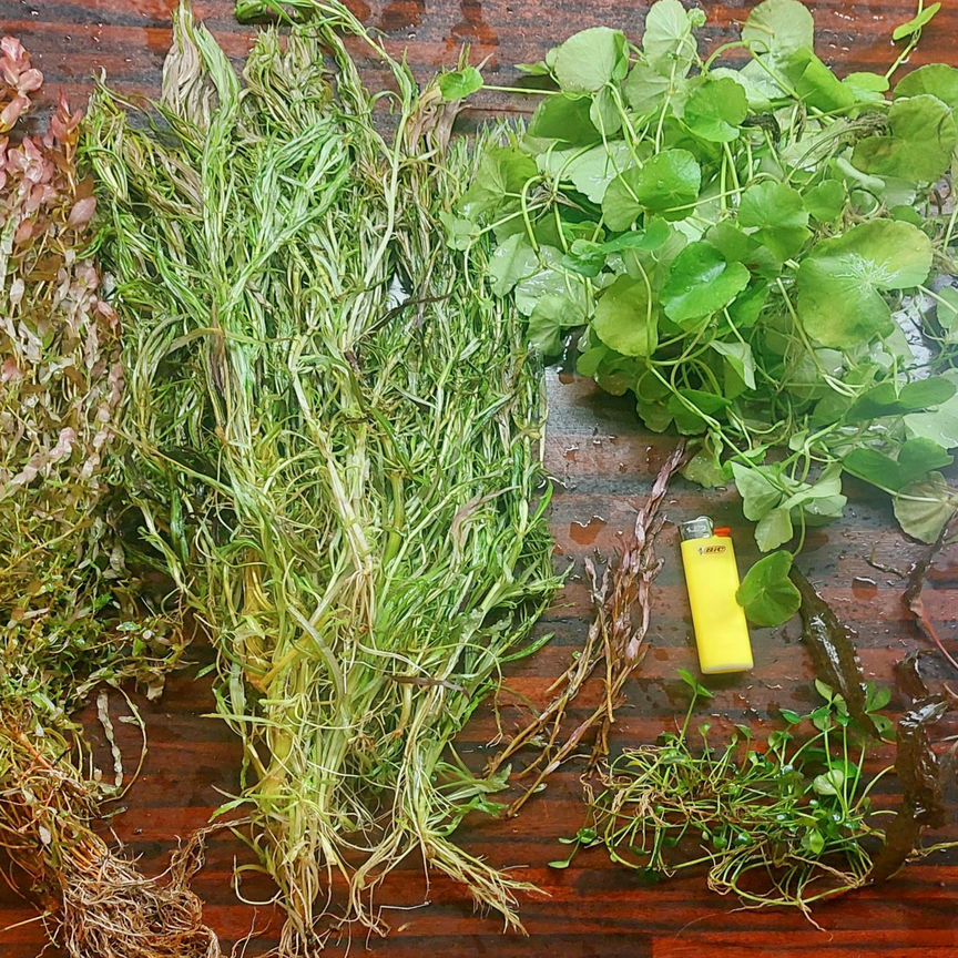 Боооольшая прополка