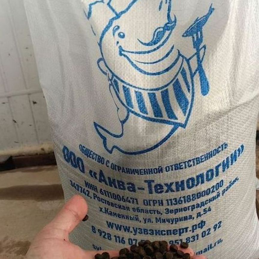 Корм для форели