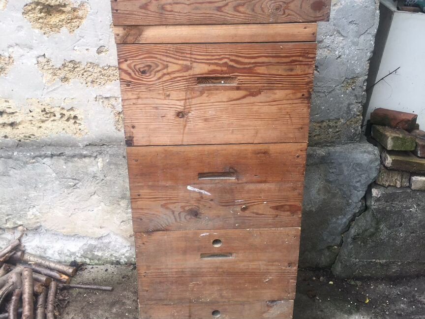 Улики для пчел