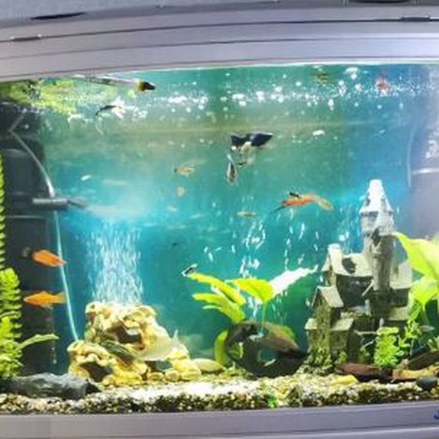 Аквариум Jebo R362