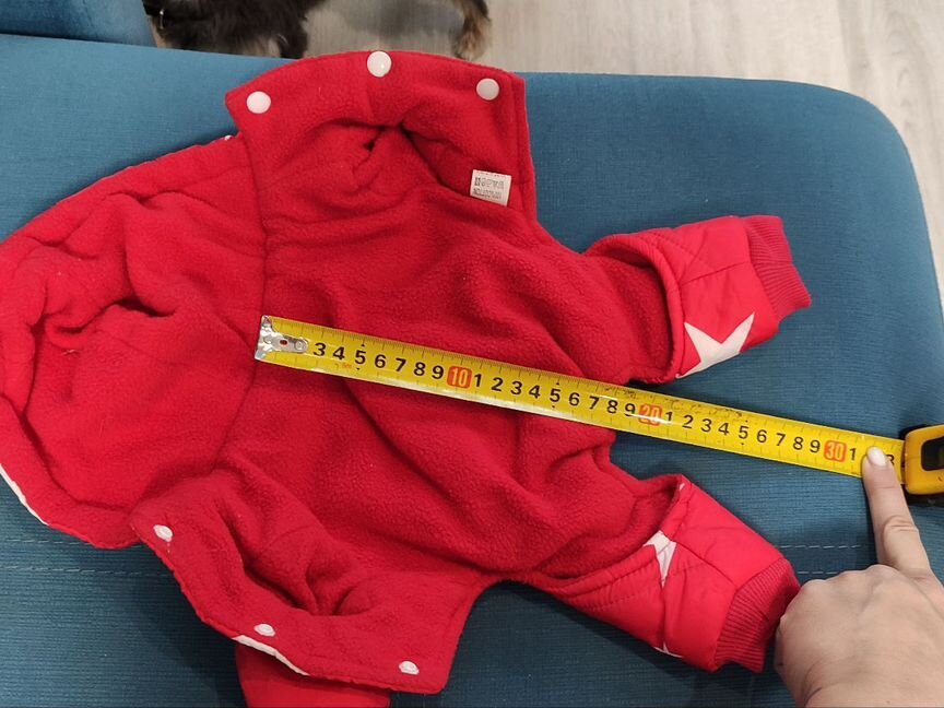 Одежда для маленьких собак