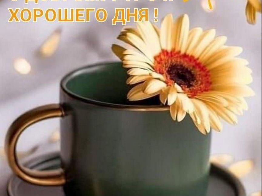 Продам индоутят