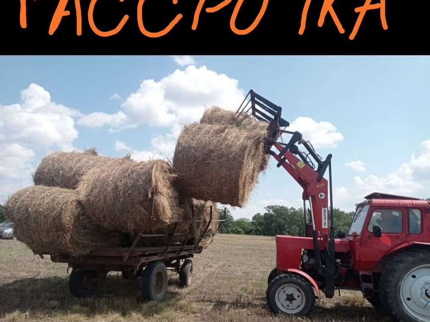 Сено в рулонах