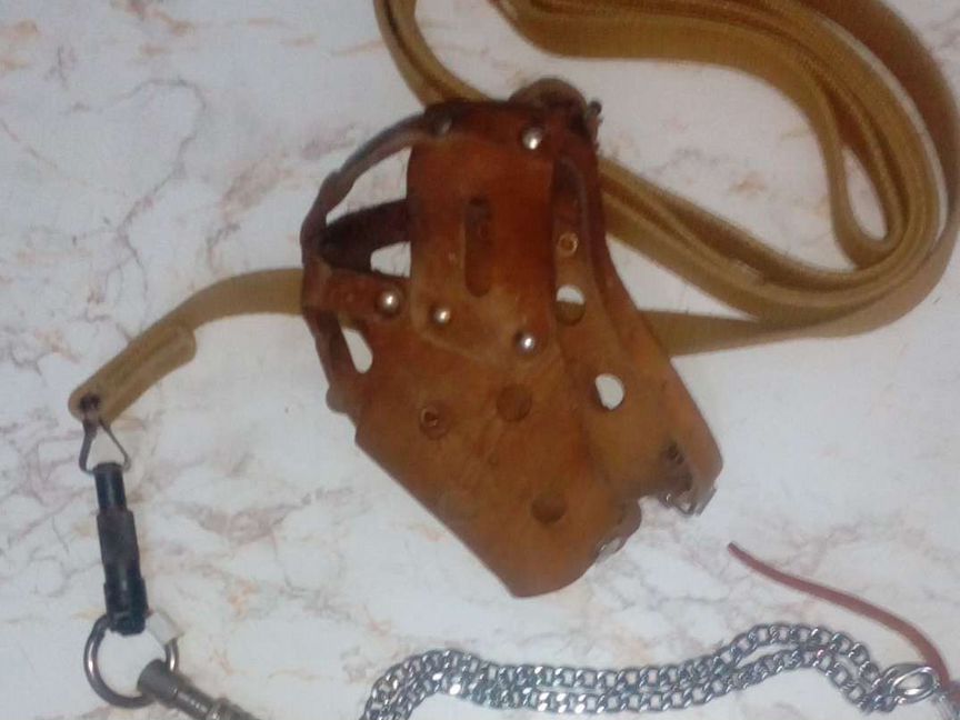 Ошейник для крупной собаки