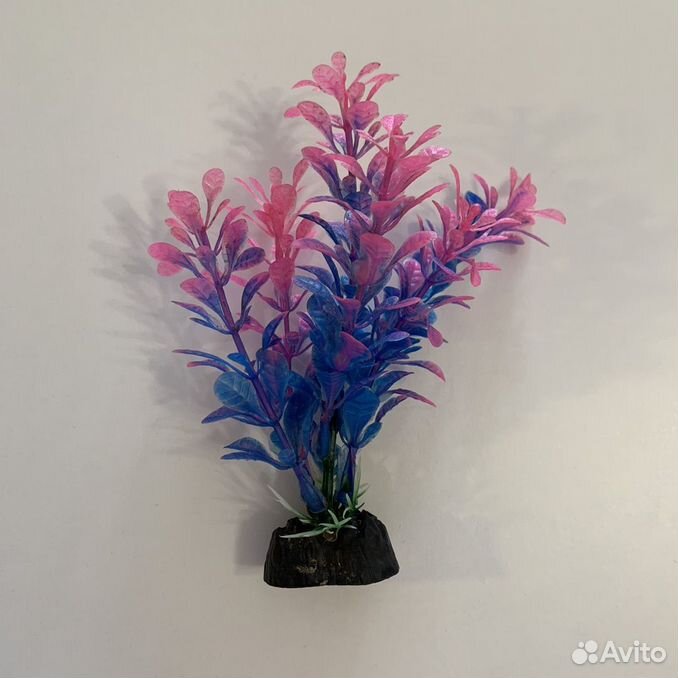 Растения аквариумные/игрушки собачьи