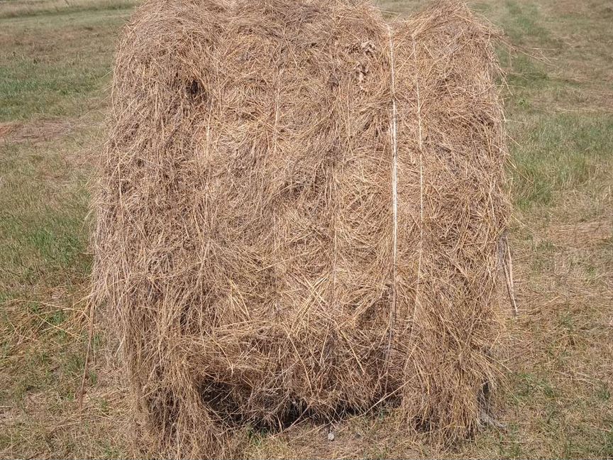 Сено в рулонах