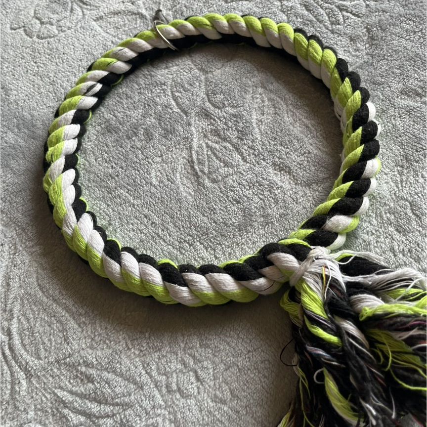 Кольцо для попугая