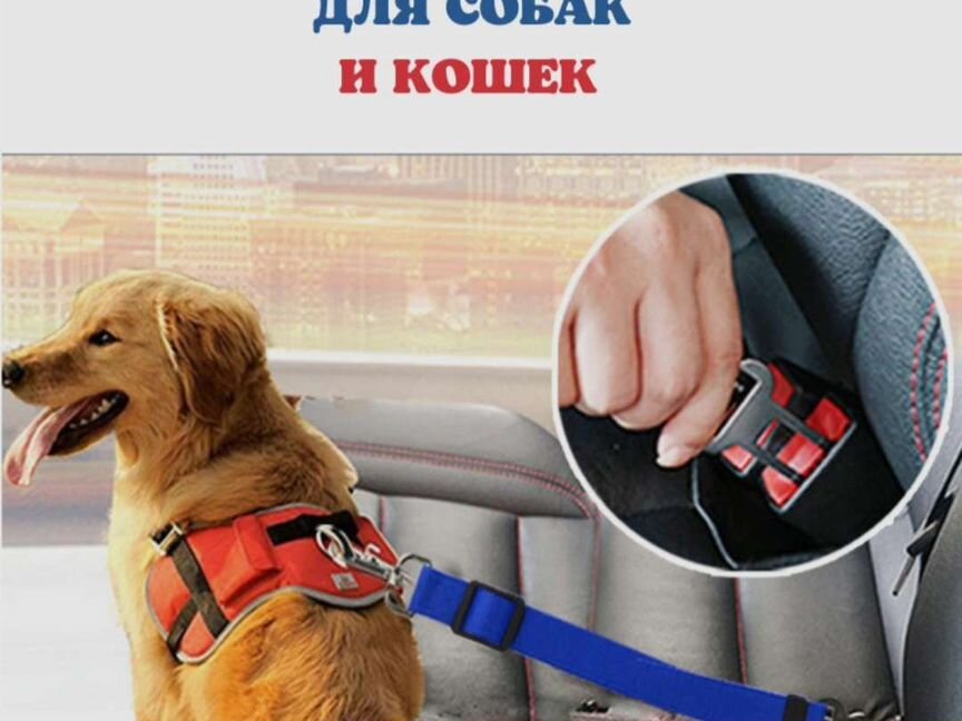 Ремень безопасности для собак и кошек