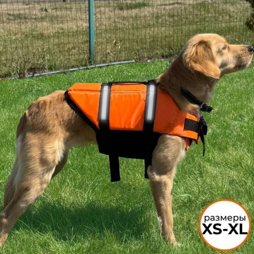 Жилет для плавания собак спасательный
