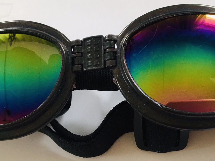 Очки для собак