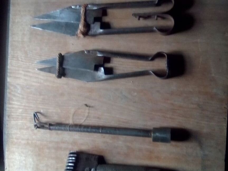 Ножницы для стрижки овец