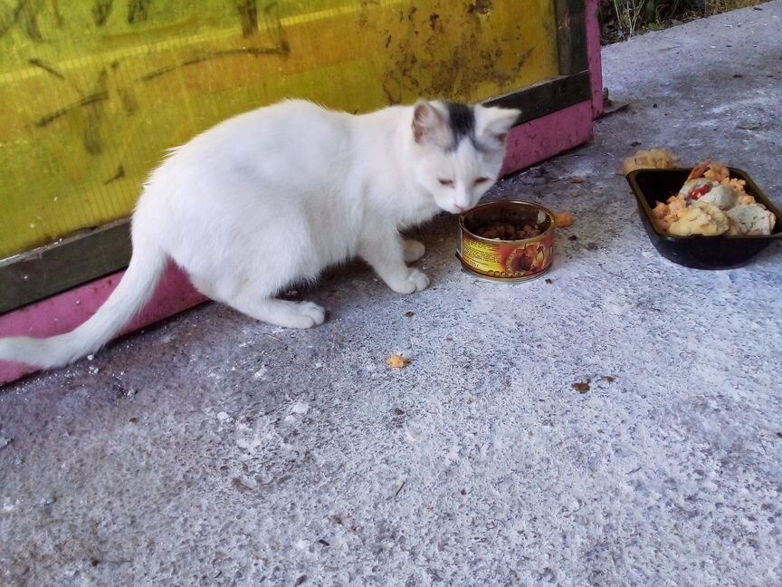 Малыши замерзают на улице