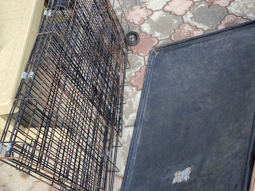 Клетка в аренду