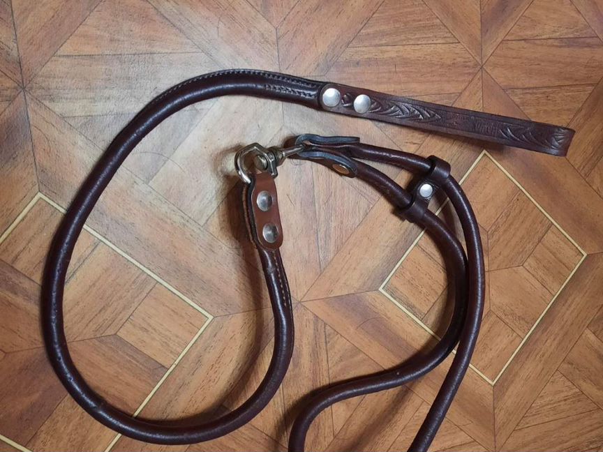 Ринговка для собак