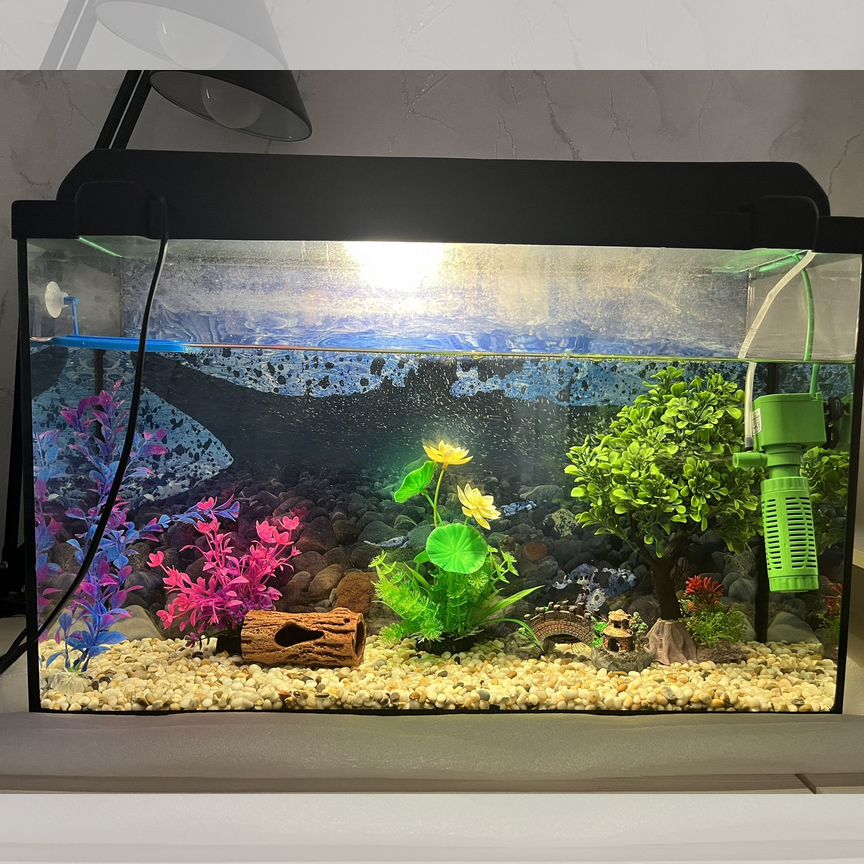 Аквариум на 50 литров