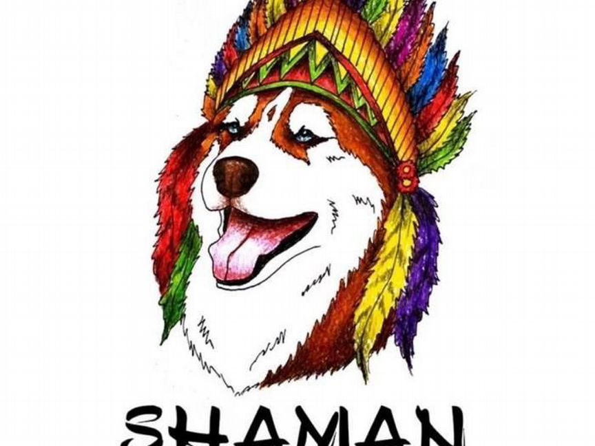Корм для собак шаман Shaman