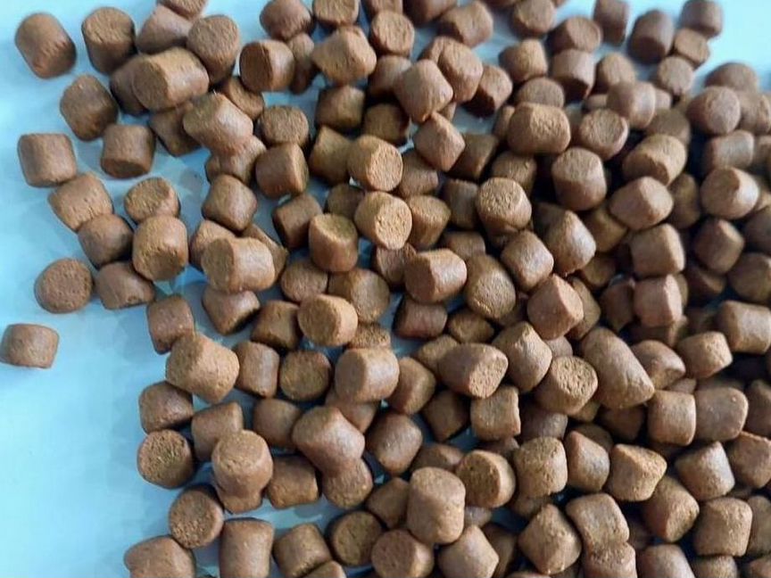 Корм для прудовой рыбы