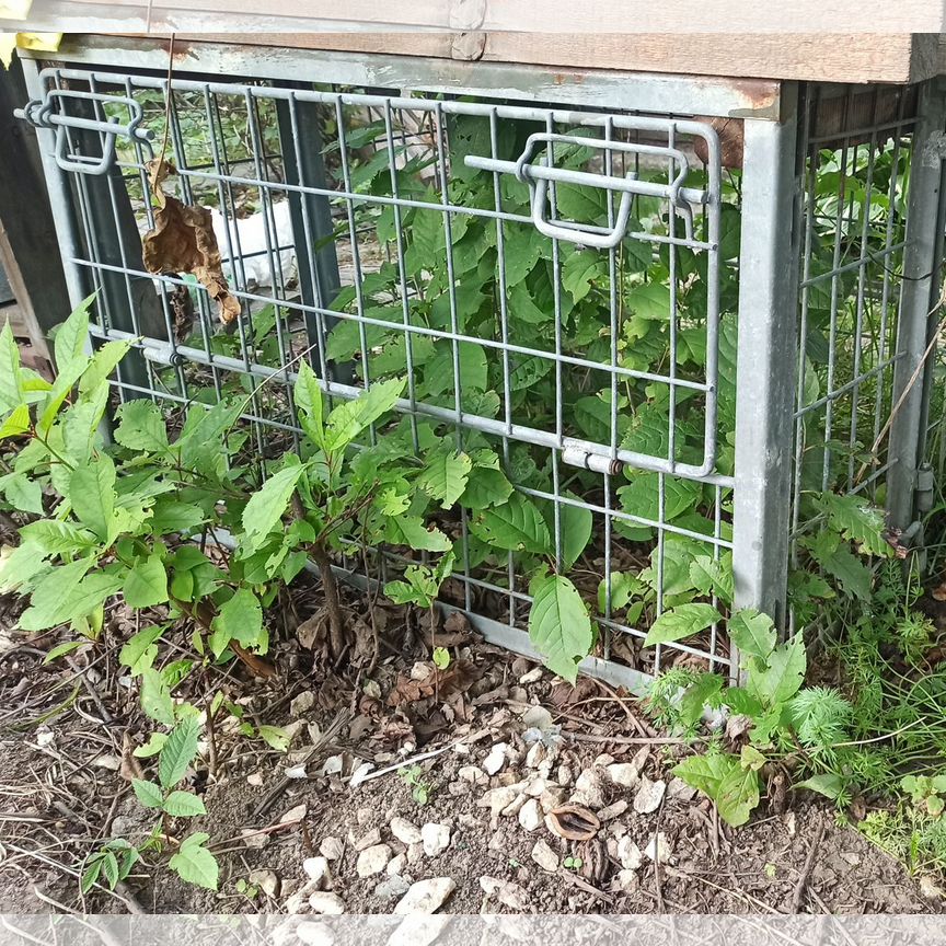 Клетка ограждение для животных