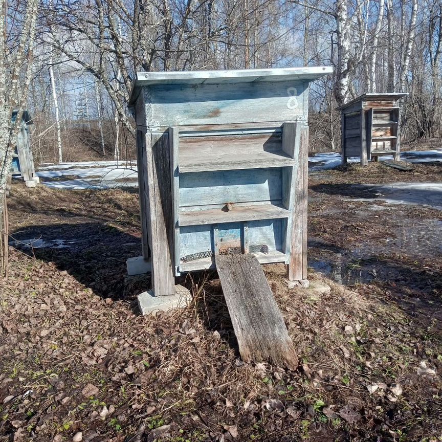 Пасека и пчело-инвентарь
