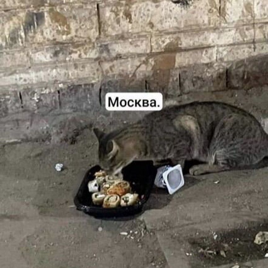 Скидки 2024-25