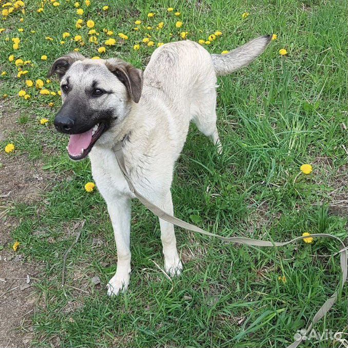 Игривая Гермиона проводит детство за решеткой