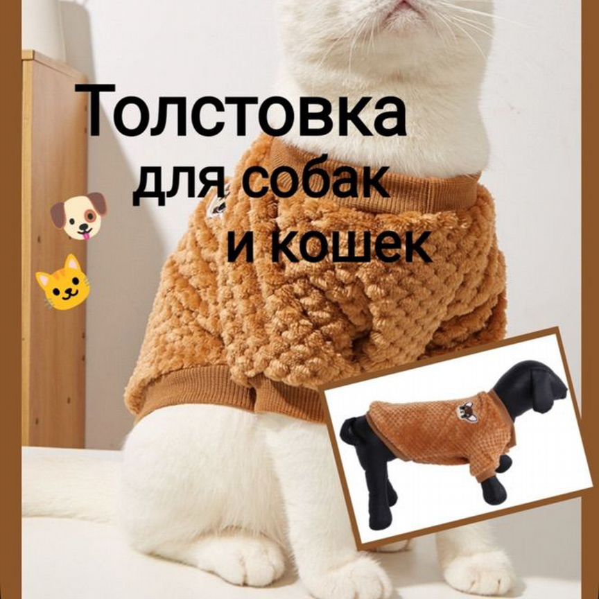 Толстовка для маленьких собак и кошек