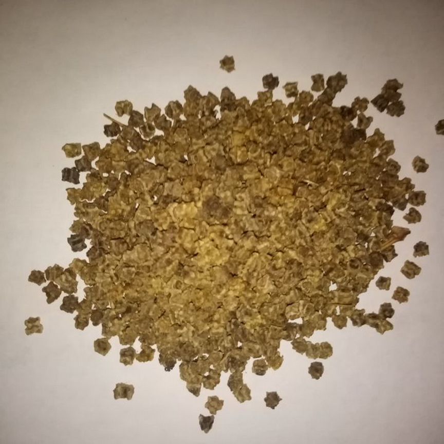 Кормовая свёкла "лада" семена