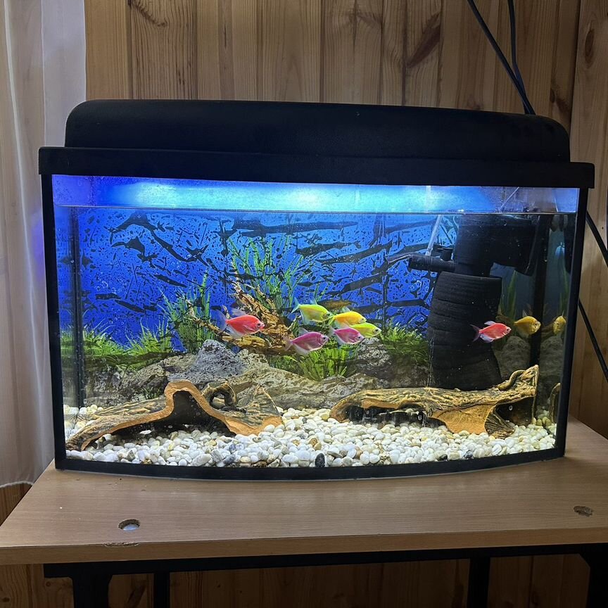 Аквариум с рыбками