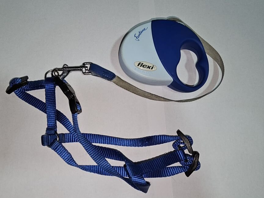 Поводок рулетка flexi 3м