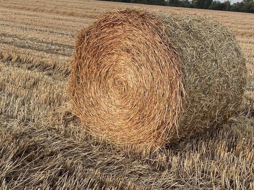 Солома, сено