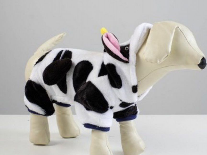 Новая одежда для собаки