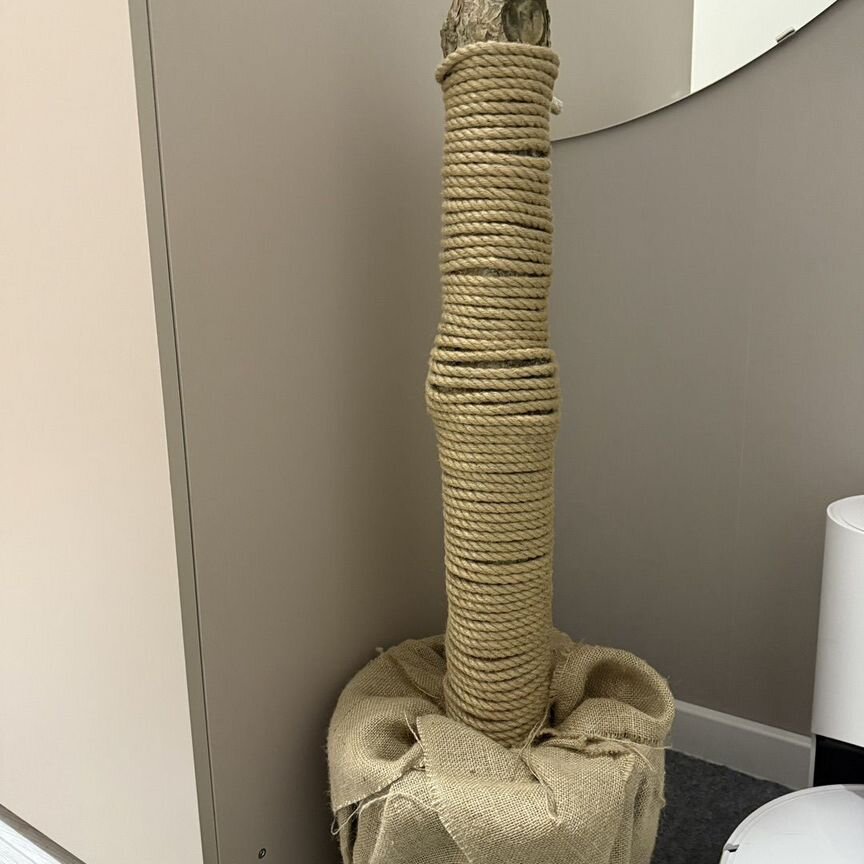 Когтеточка