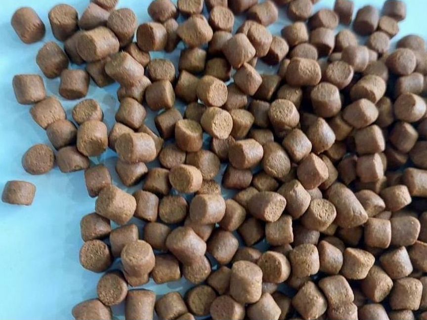 Корм для карпа