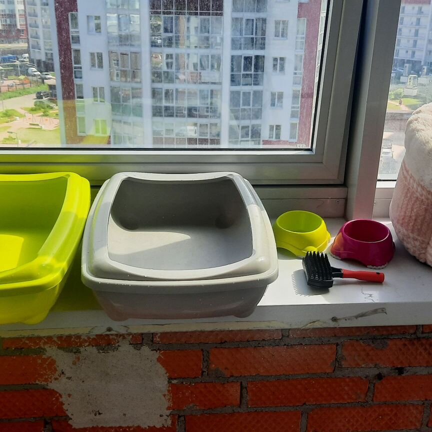 Лотки,миски и лежанка для кошек