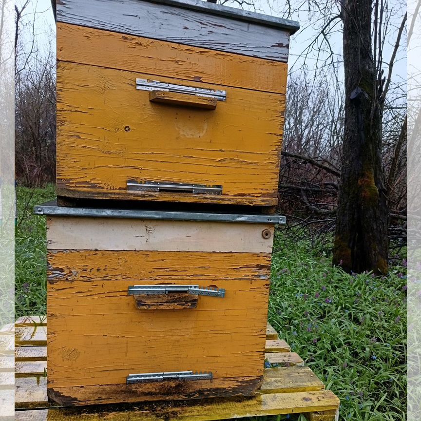 Продам ульи для пчел бу