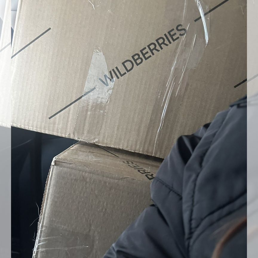 Коробка с игрушками для собак