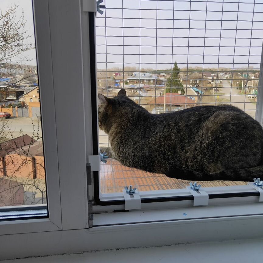 Съёмный балкон для кошек