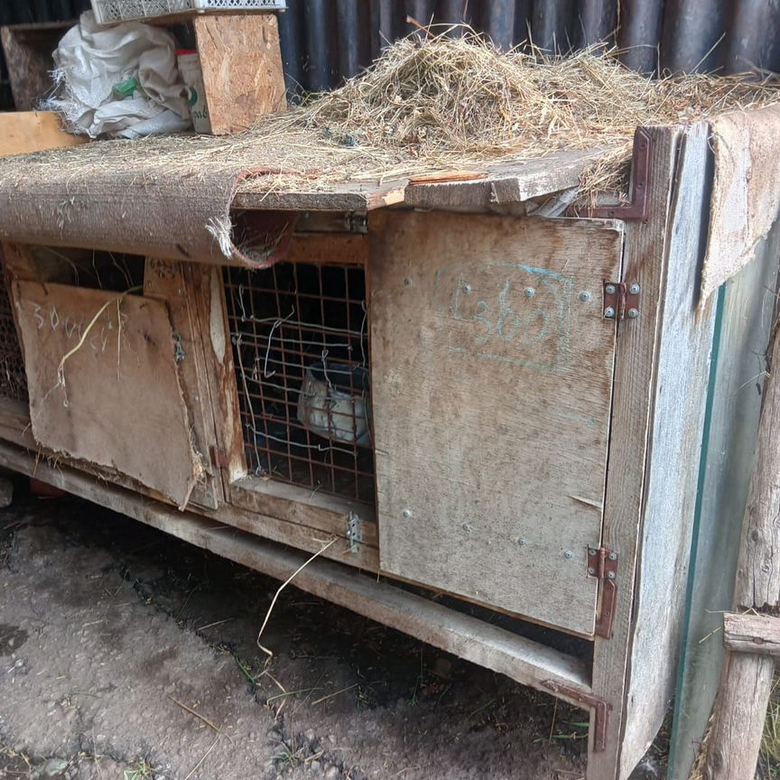 Домики для кур кроликов