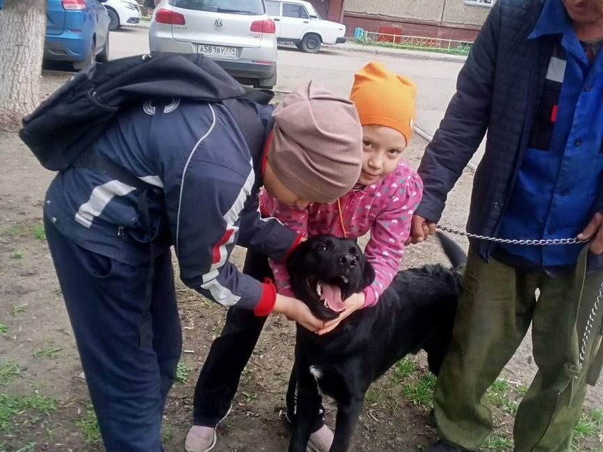 Добрый пёс в беде. Ищем дом