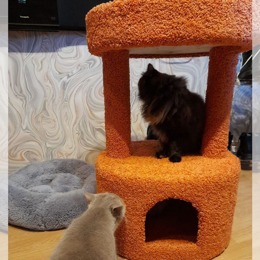 Домик лежанка для кошки