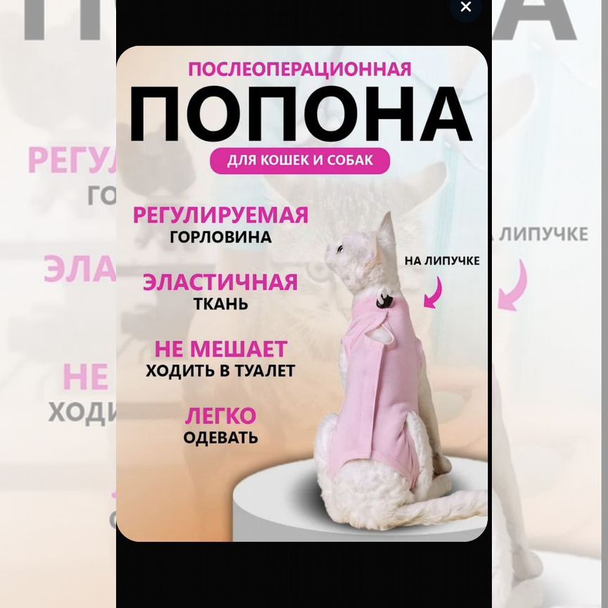 Попона для кошек