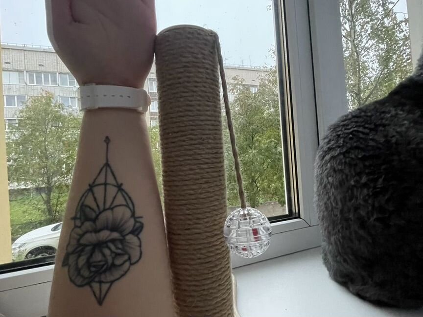 Когтеточка для кошки новая