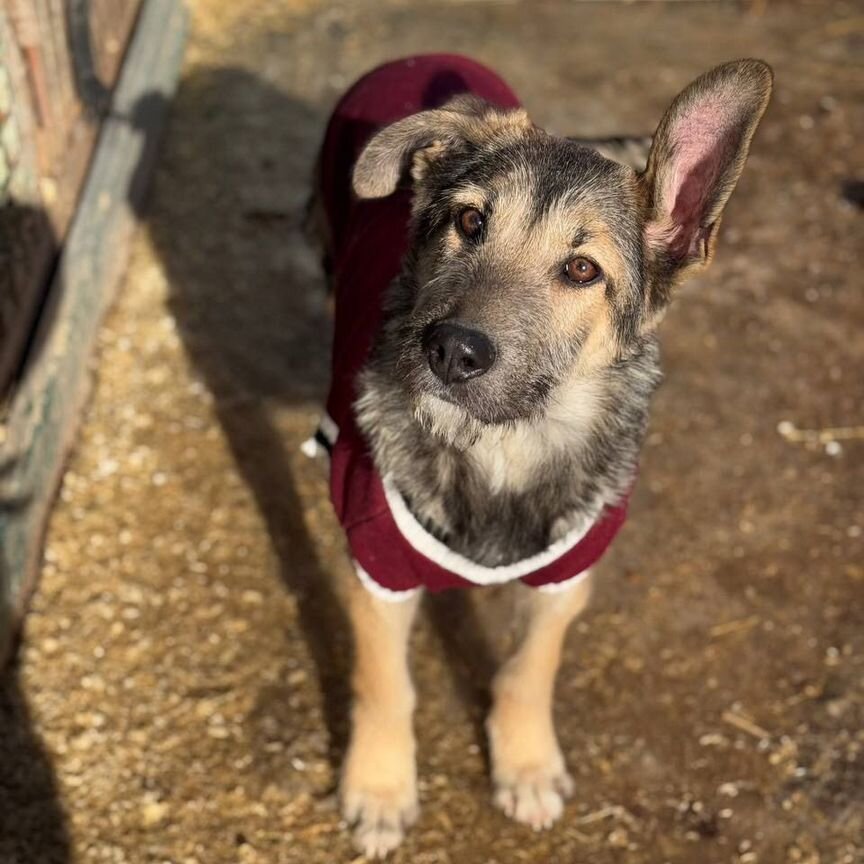 Малышка ждет свою семью