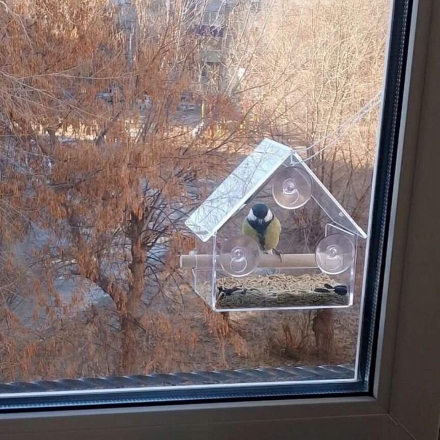 Кормушка для птиц на окно