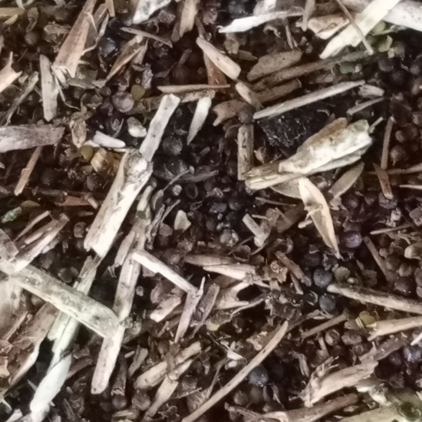 Отходы рапс