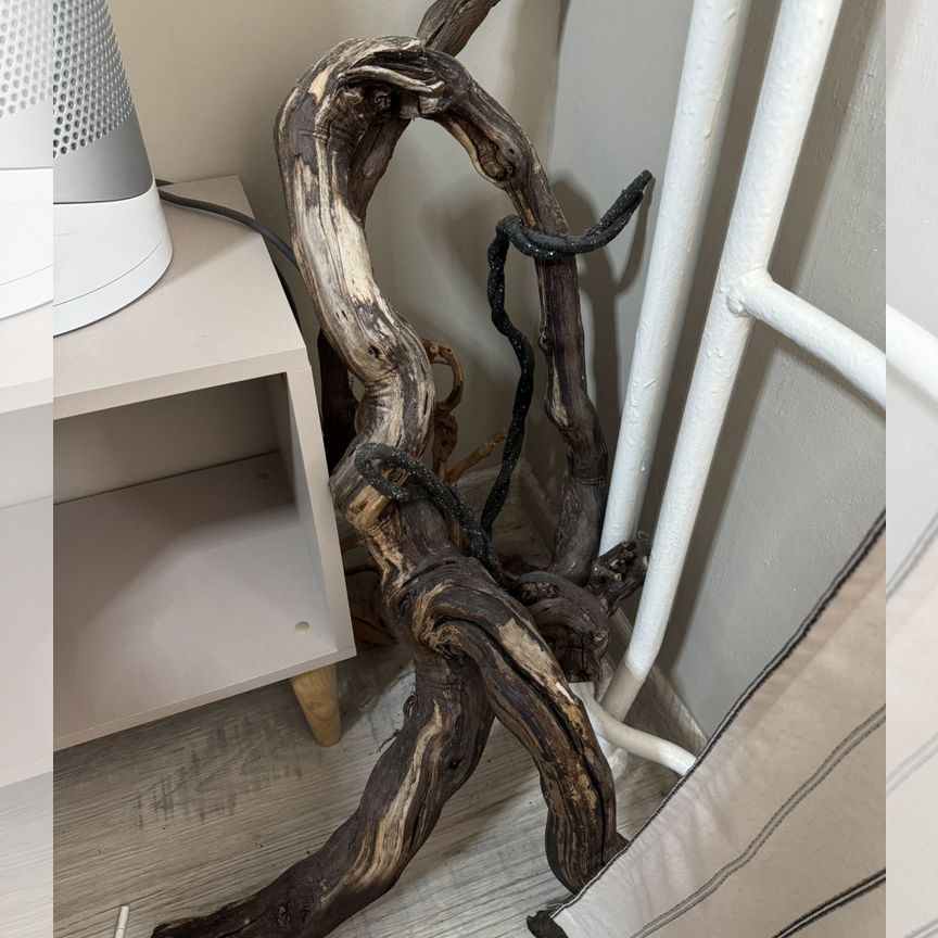 Коряга виноградная