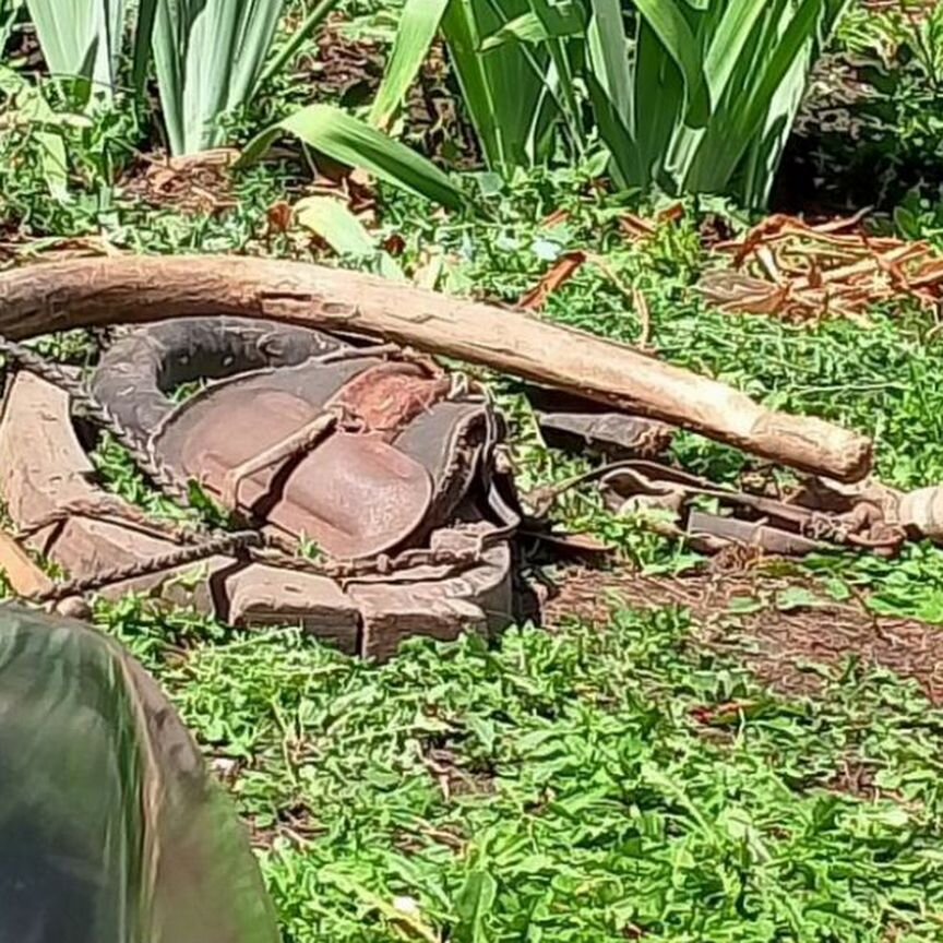 Снаряжение для лошади